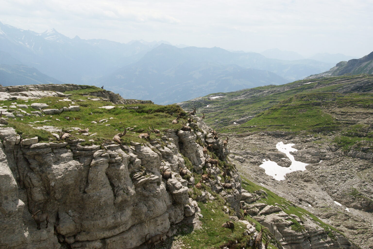 Équipe - CEN de Haute-Savoie